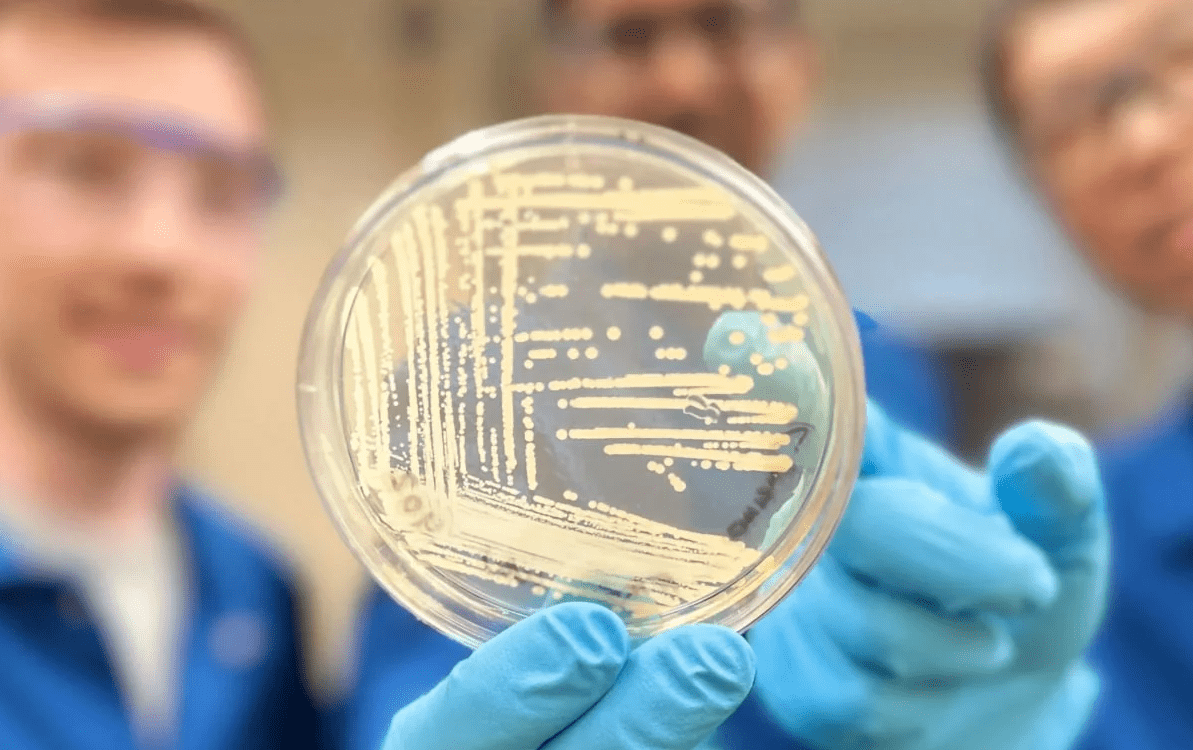 Harvard Scientists Breakthrough Antibiotic Resistance