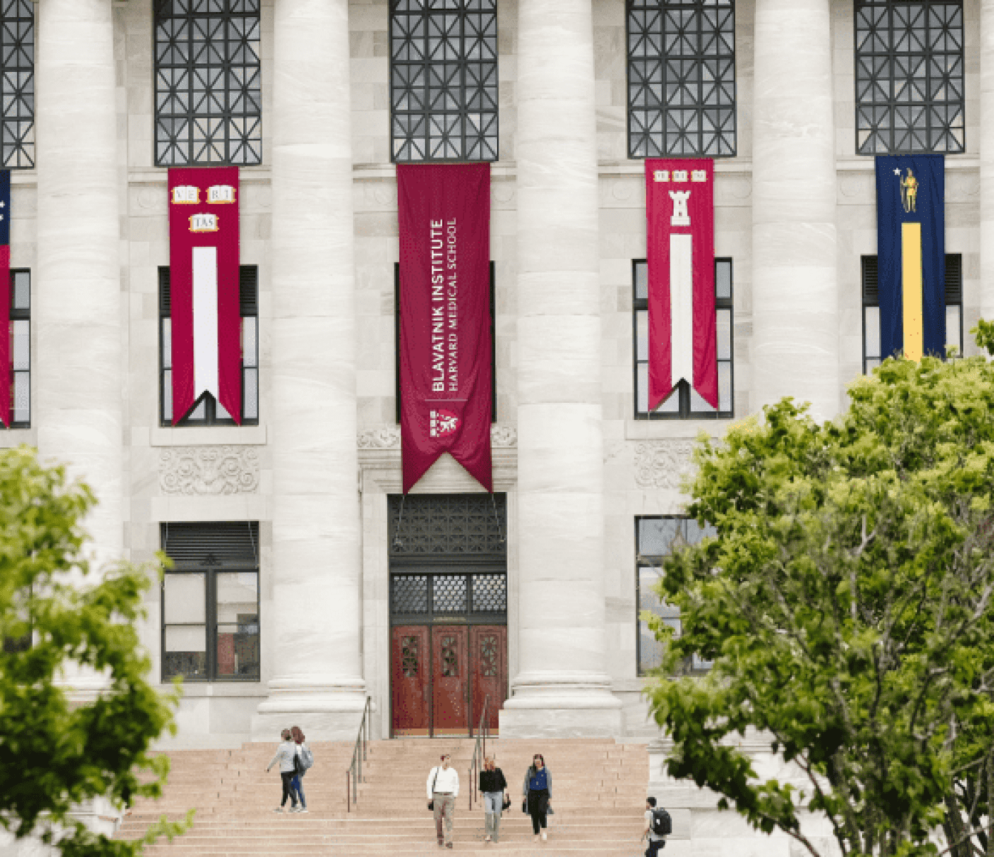 10 HMS Researchers Elected to National Academy of Medicine - Blavatnik ...